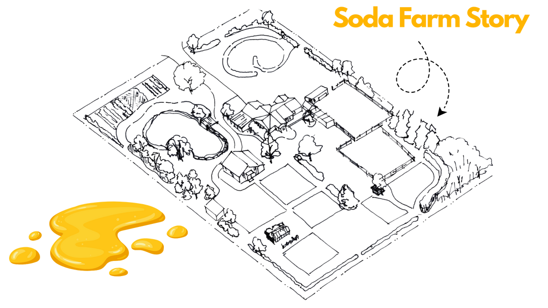 Soda Farm
