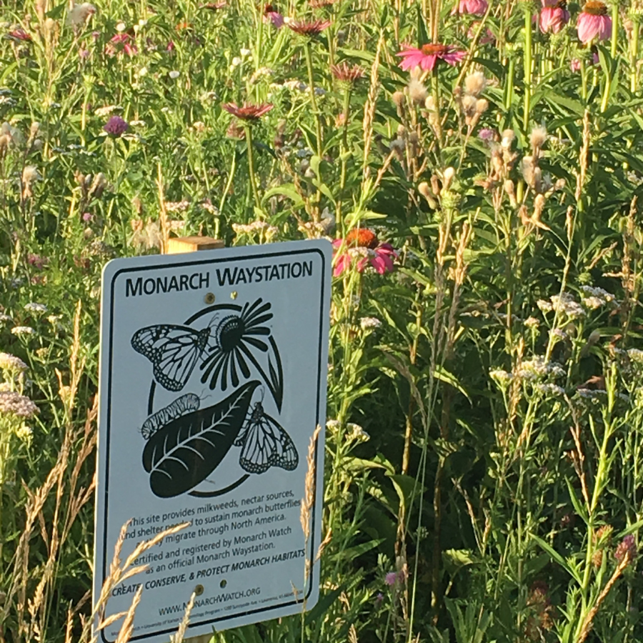 About Us – Soda Farm